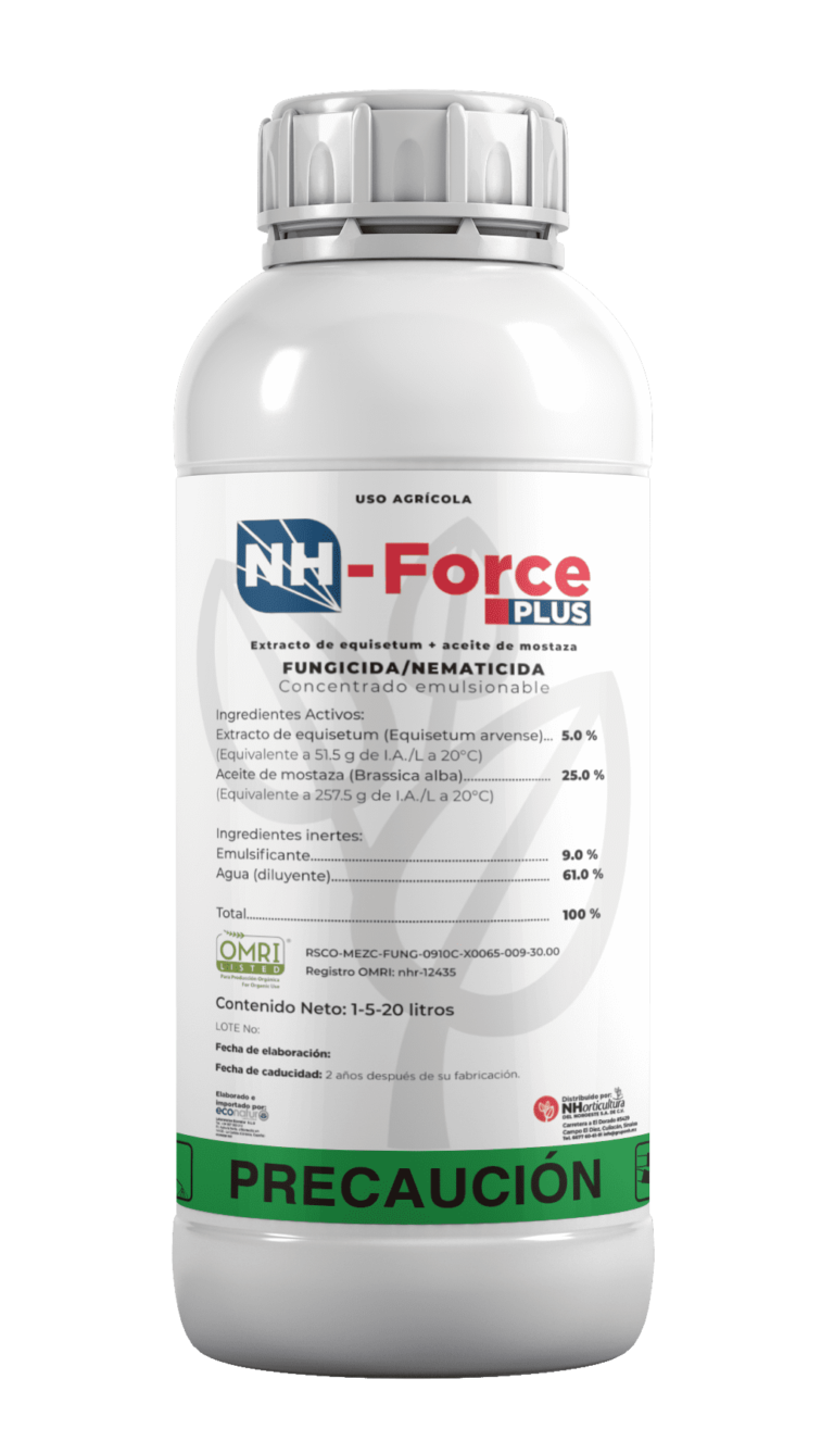 NH - FORCE PLUS | Grupo NH